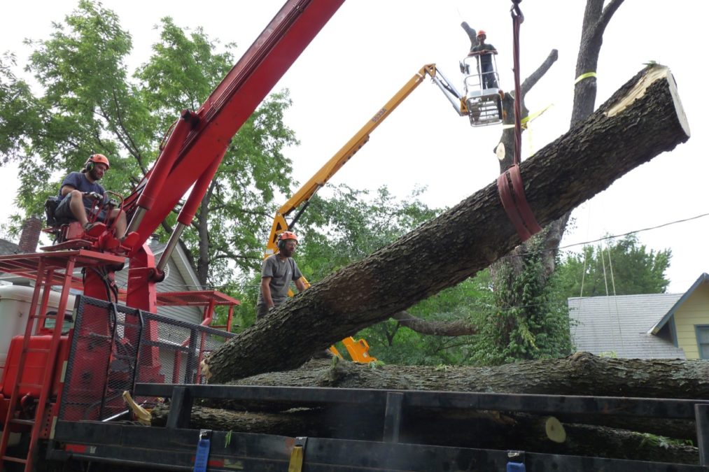 Crane Service | Forest Keepers Tree Care